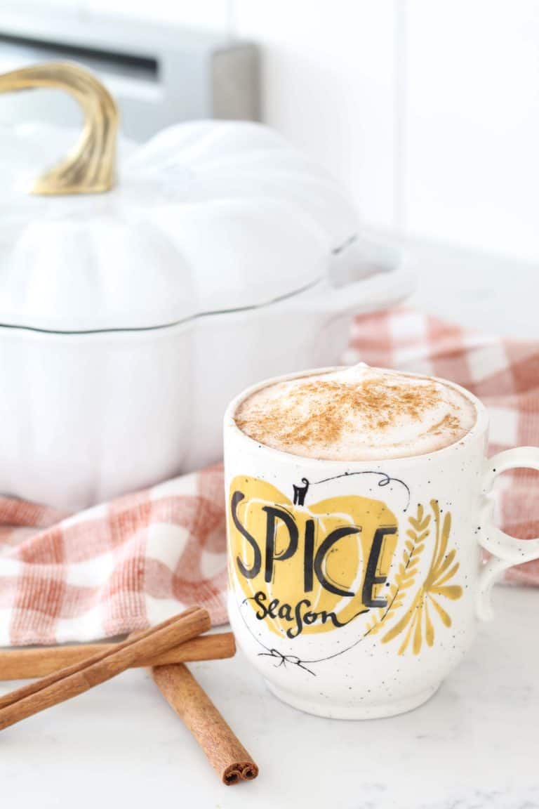 Pumpkin Spice Hot Chocolate (With Real Pumpkin!) - A Nod to Navy