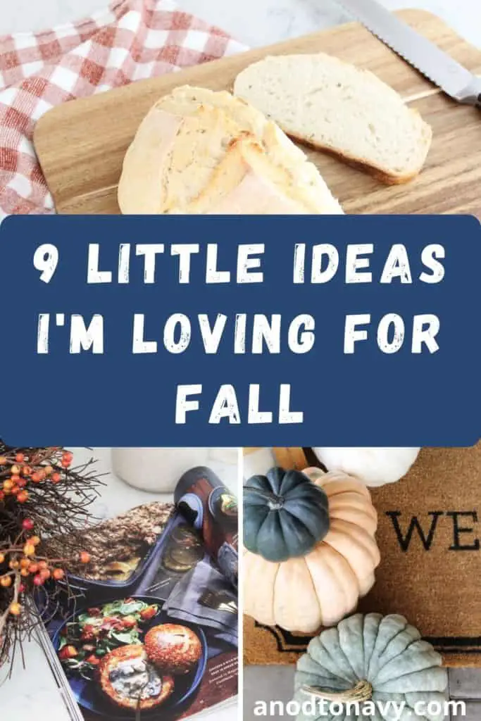9 Little Things I'm Loving For Fall - A Nod to Navy